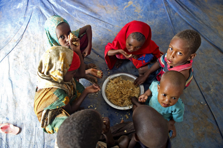 SDG's Zero Hunger Target Is in Crisis Amid Pandemic: UN Report ...